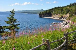 Parc de Forillon : la beauté sauvage du littoral canadien
