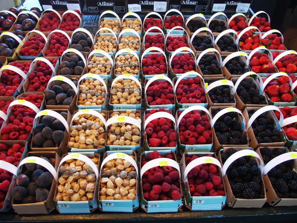 Fruit picking au Canada : Conseils et Calendrier des récoltes